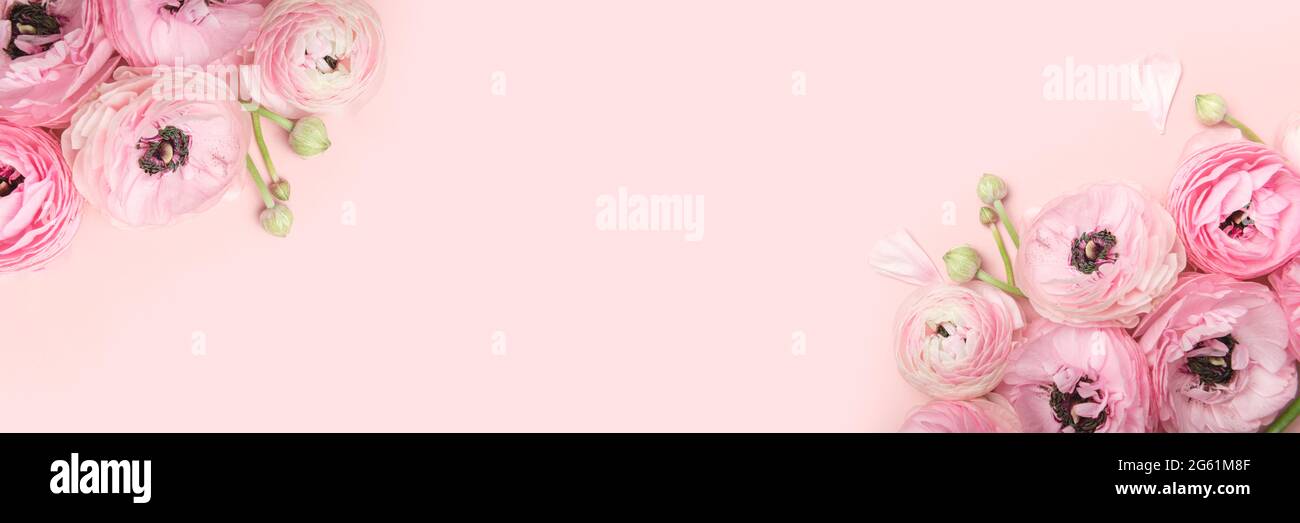 Floral arrangments of tender ranunculus flowers Stock Photo - Alamy