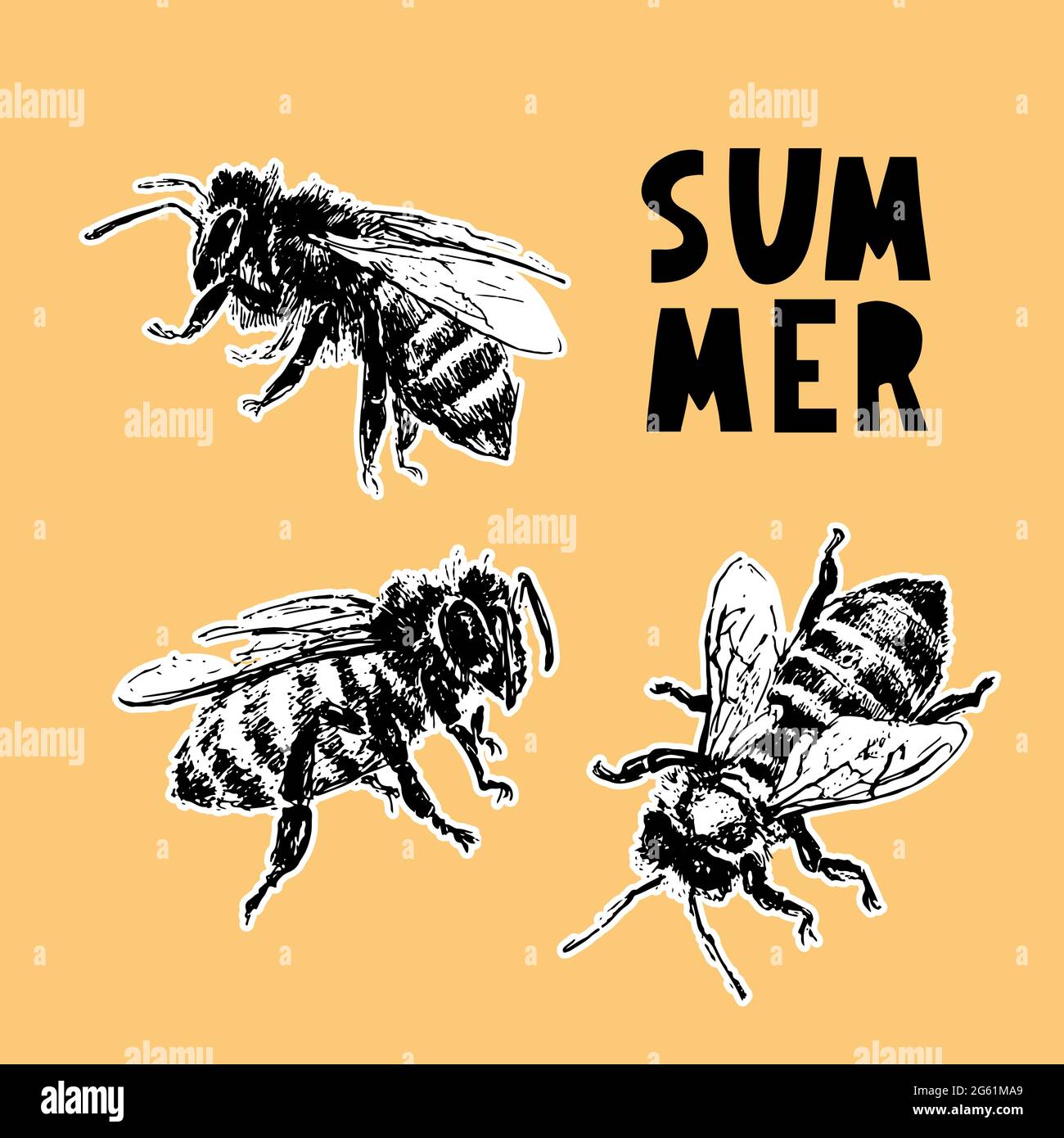 Drone Bee Clipart Vector