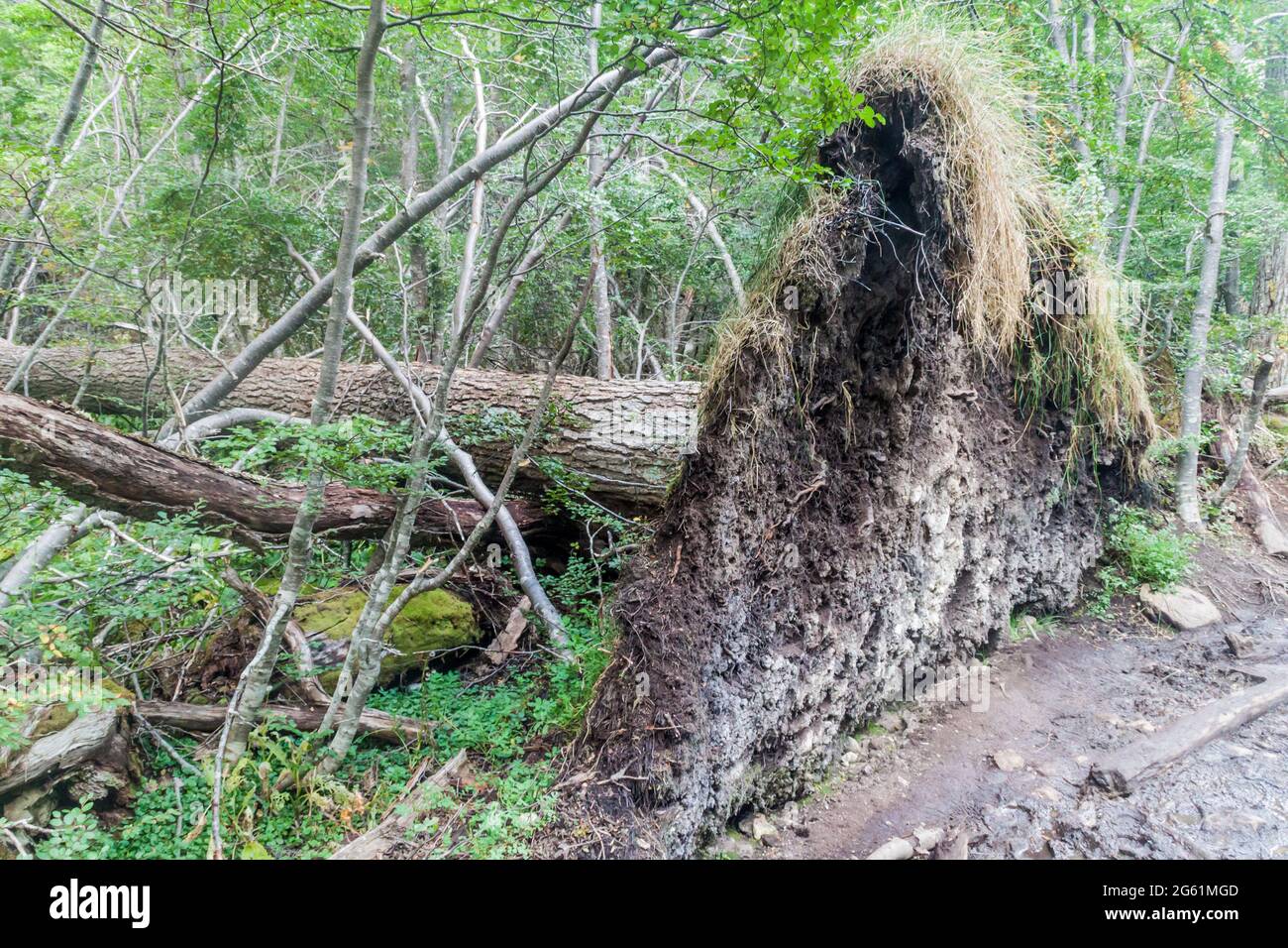 Tierra a tierra hi-res stock photography and images - Alamy