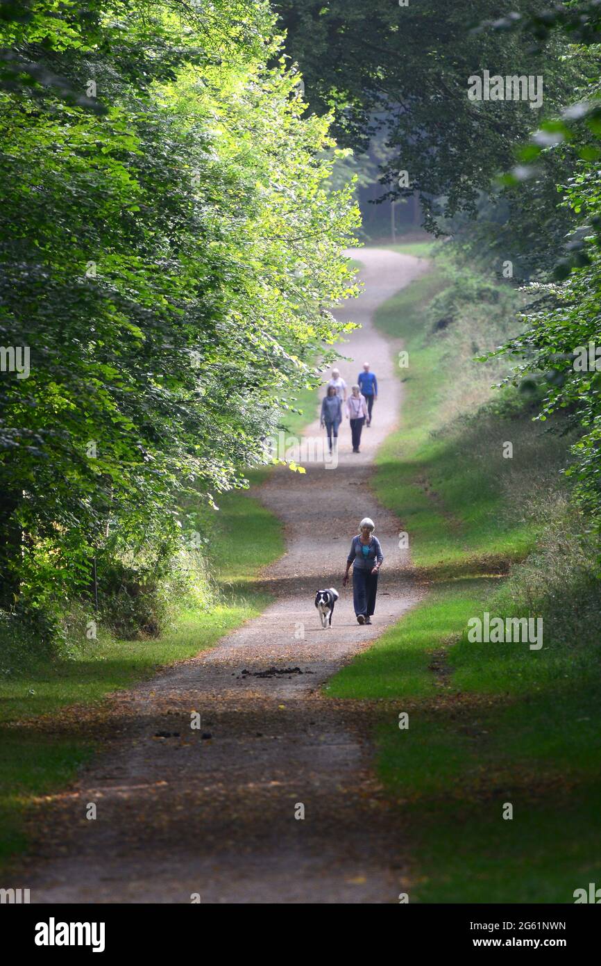 Tring park hertfordshire hi-res stock photography and images - Alamy