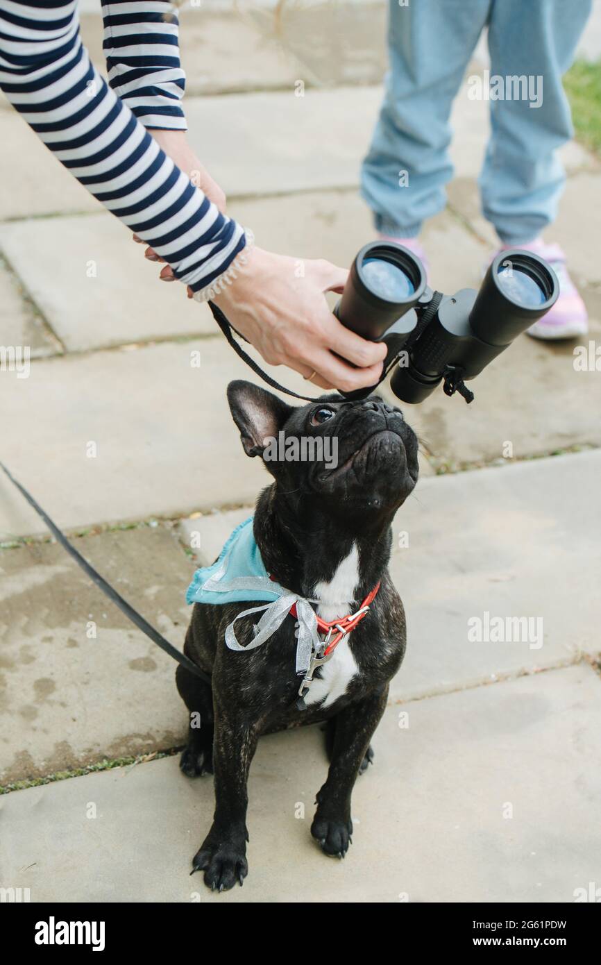 Animal holding binoculars hi-res stock photography and images - Alamy