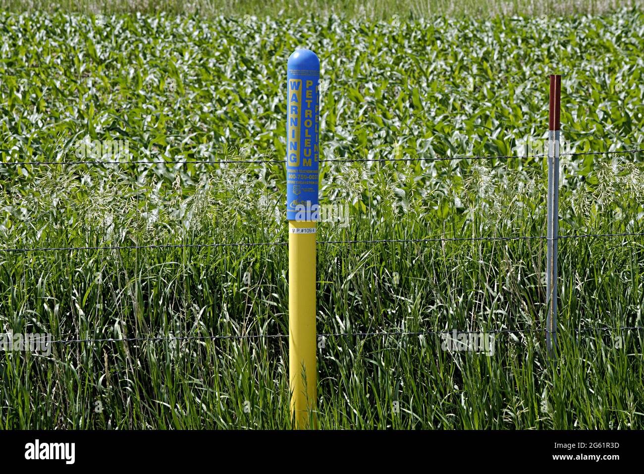 FIELDS / PLYMOUTH COUNTY/IOWA /USA-Petroleum pipeline and gas line run ...