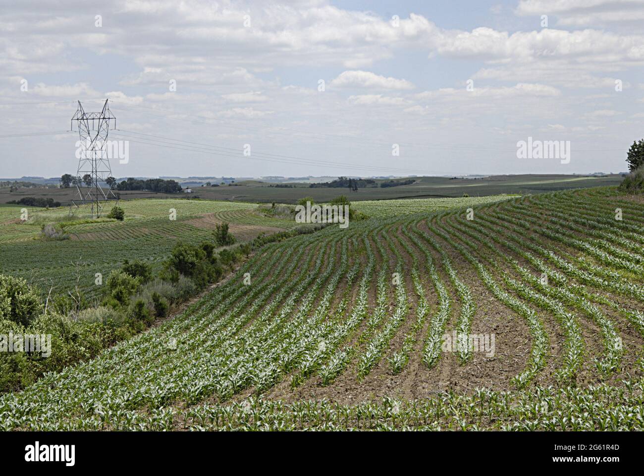 Tow beans hi-res stock photography and images - Alamy
