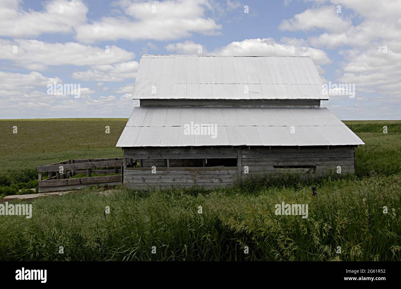 Tow Beans High Resolution Stock Photography and Images - Alamy