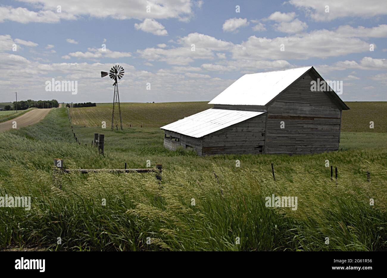 Tow Beans High Resolution Stock Photography and Images - Alamy