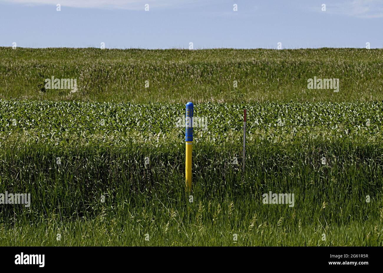 FIELDS / PLYMOUTH COUNTY/IOWA /USA-Petroleum pipeline and gas line run ...