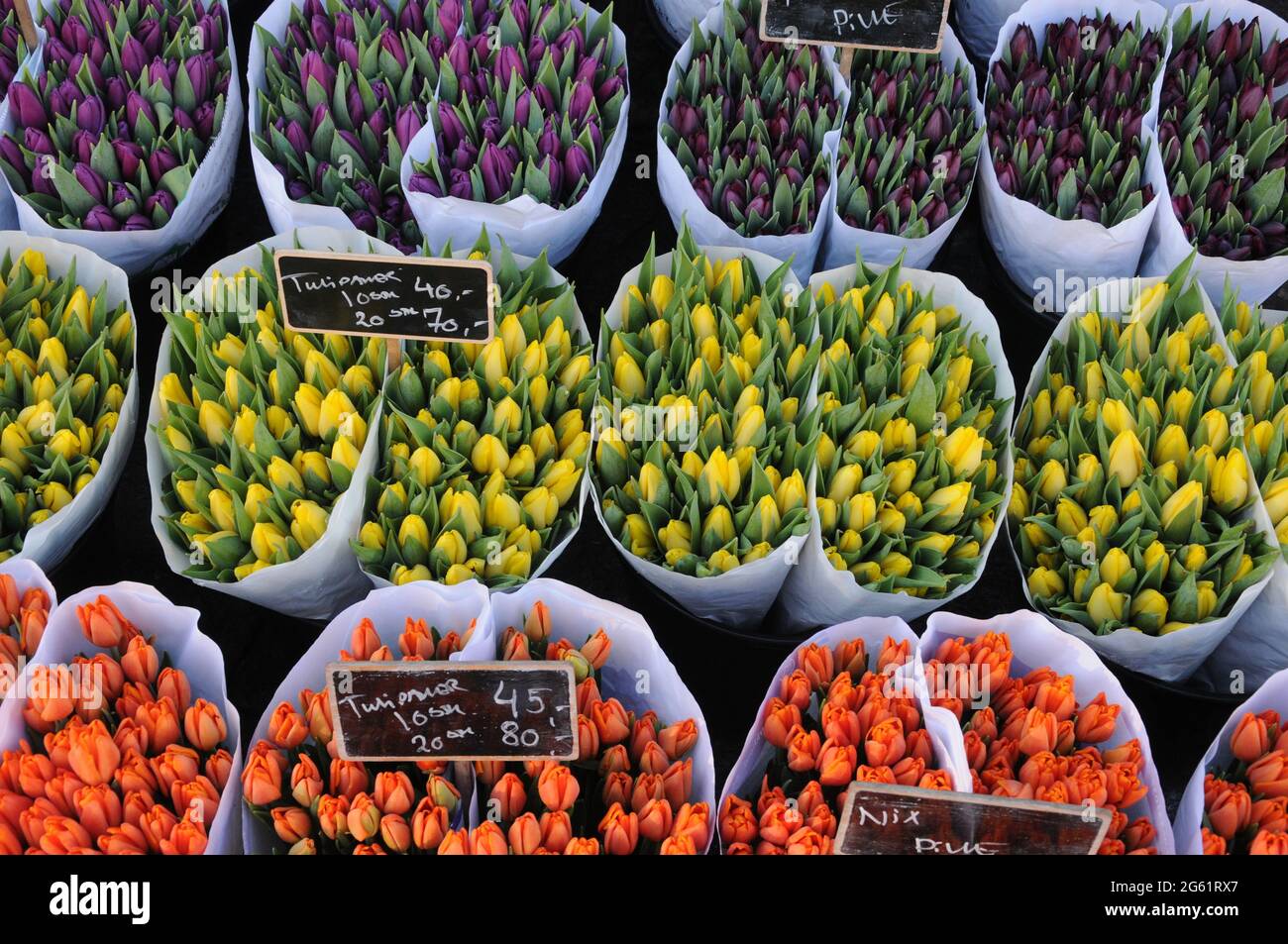 Copenhagen / Denmark 28.January 2017 - Flowers vendor sells tulips ...