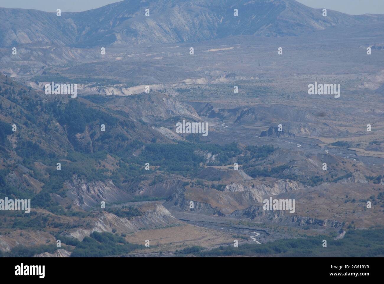 Devastated landscape after the eruption of Mt. St. Helens Stock Photo ...