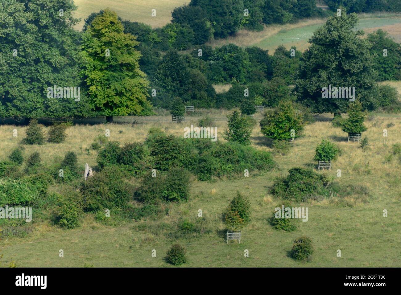 Tring park hi-res stock photography and images - Alamy