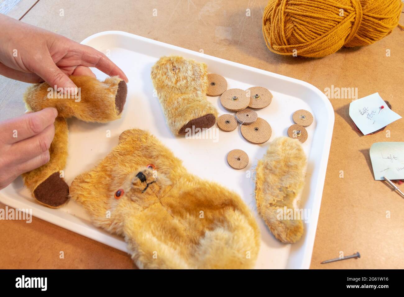 old teddy bear being refurbished by middle aged woman like the Repair ...