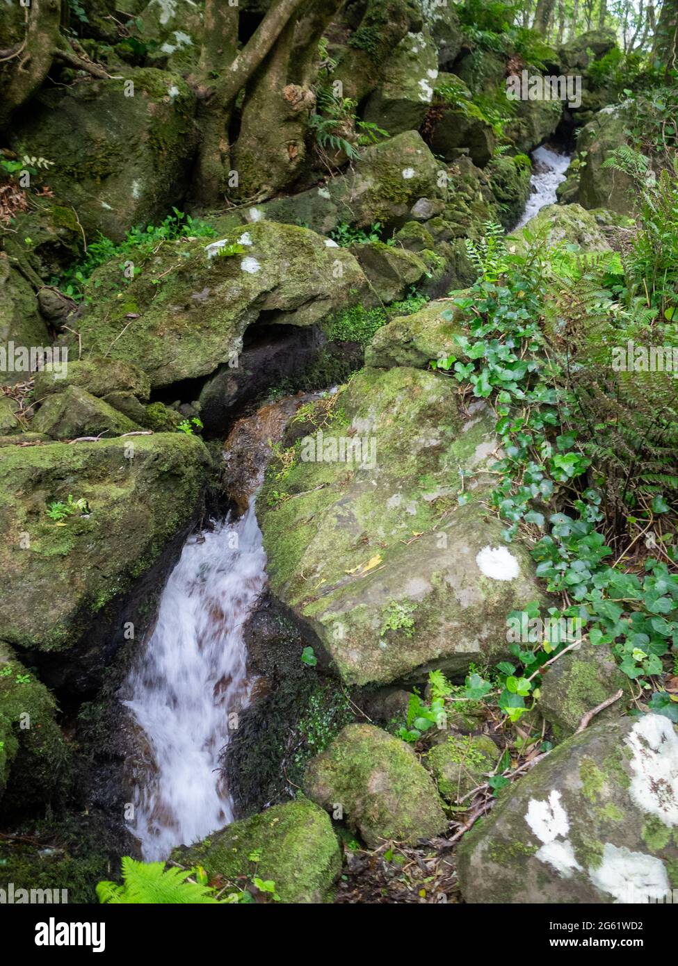 Stream water between rocks moss hi-res stock photography and images - Alamy