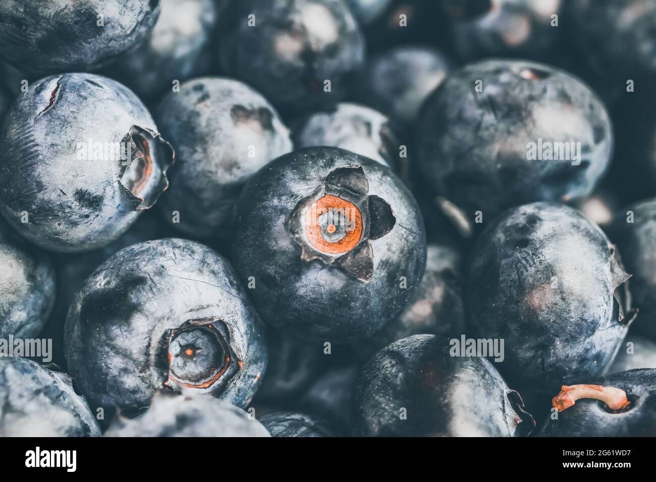 Macro closeup of isolated group fresh ripe raw blueberries Stock Photo ...