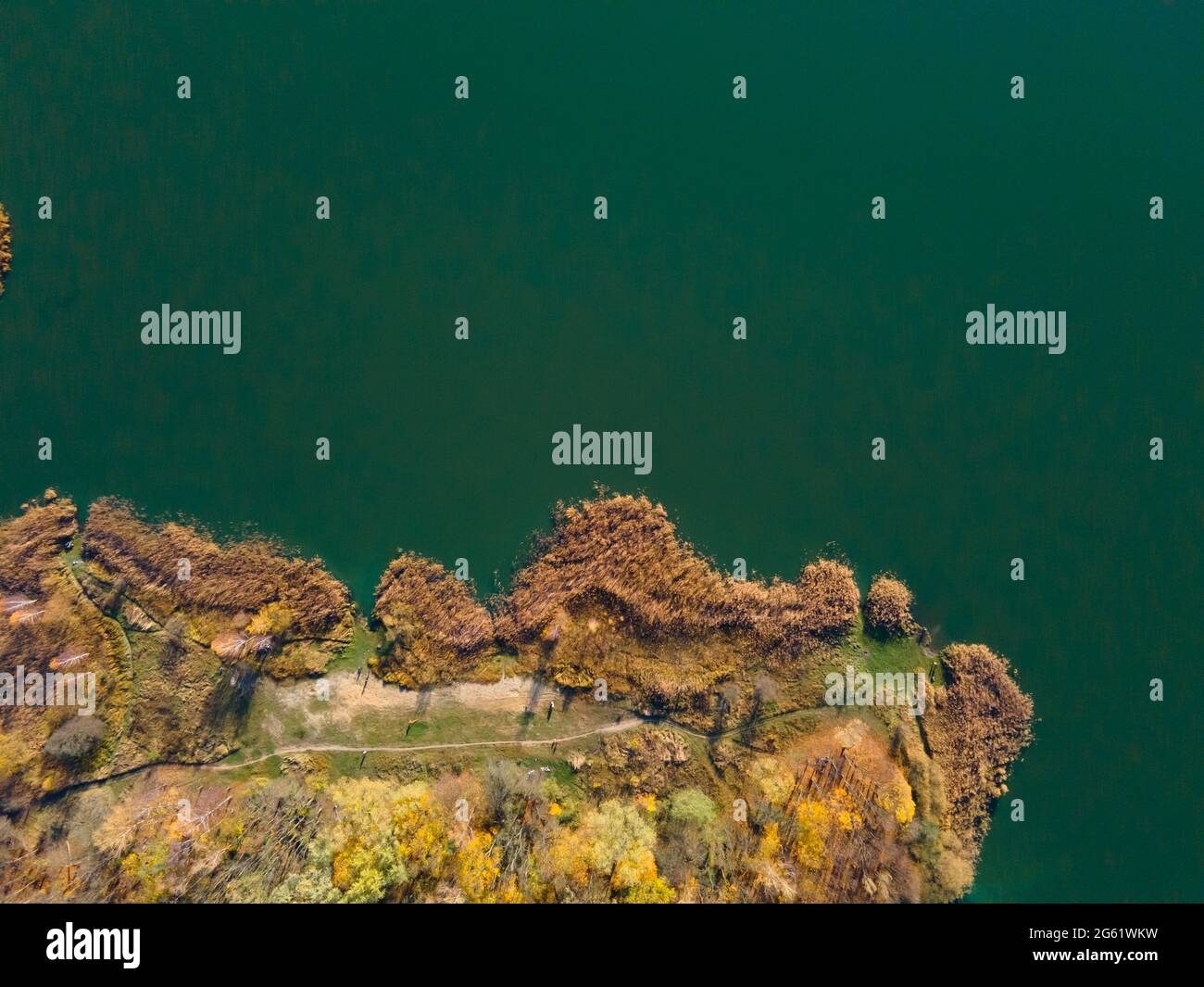 overhead top view of autumn beach lake with green water Stock Photo - Alamy