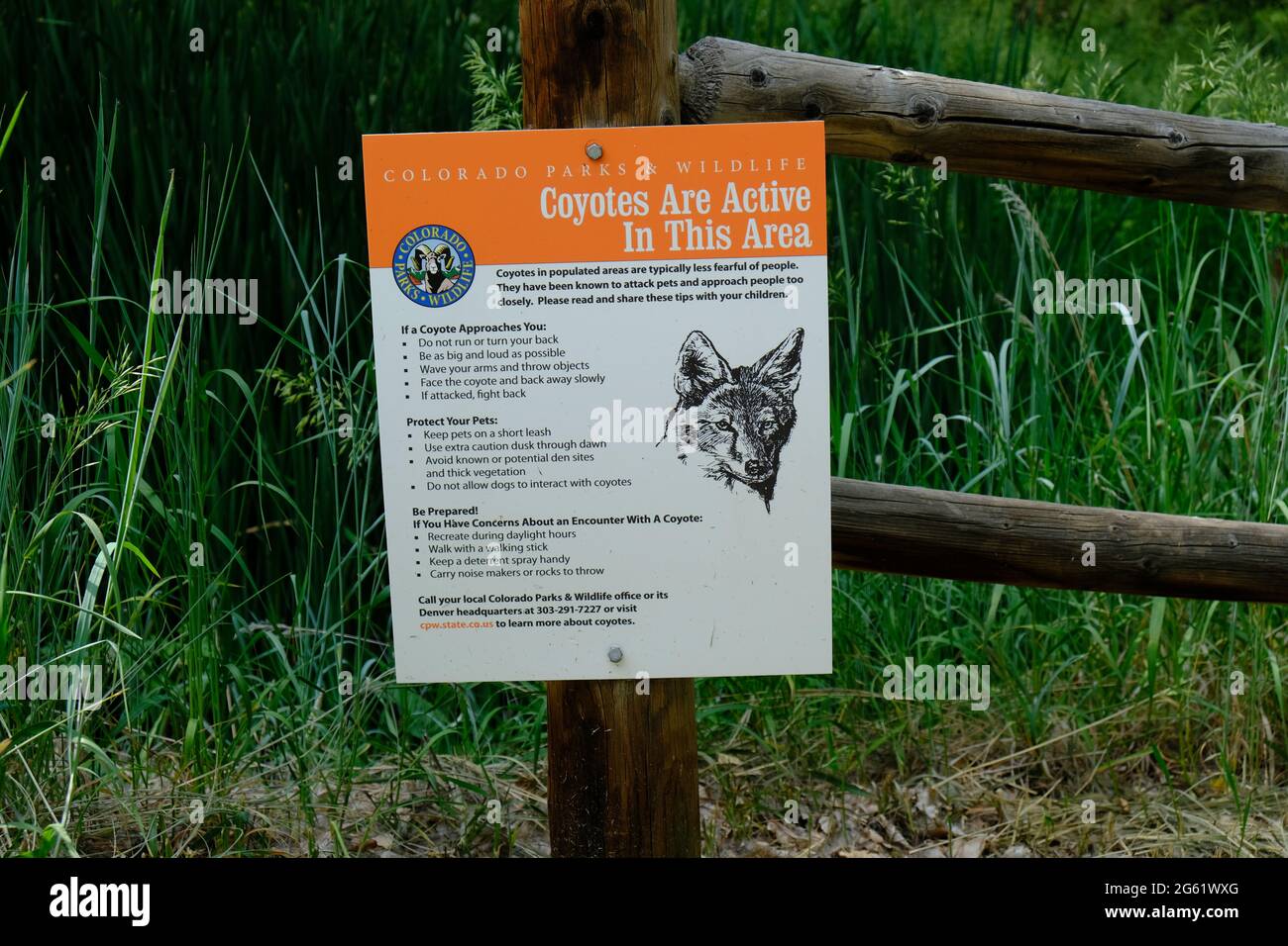 Colorado Parks & Wildlife - Coyote Warning Sign Stock Photo - Alamy