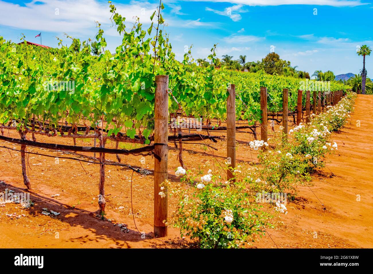 Southern california agriculture hi-res stock photography and images - Alamy