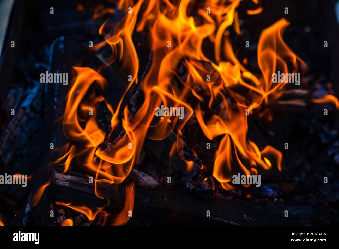 Burning wood chips to form coal. Barbecue preparation, fire before ...