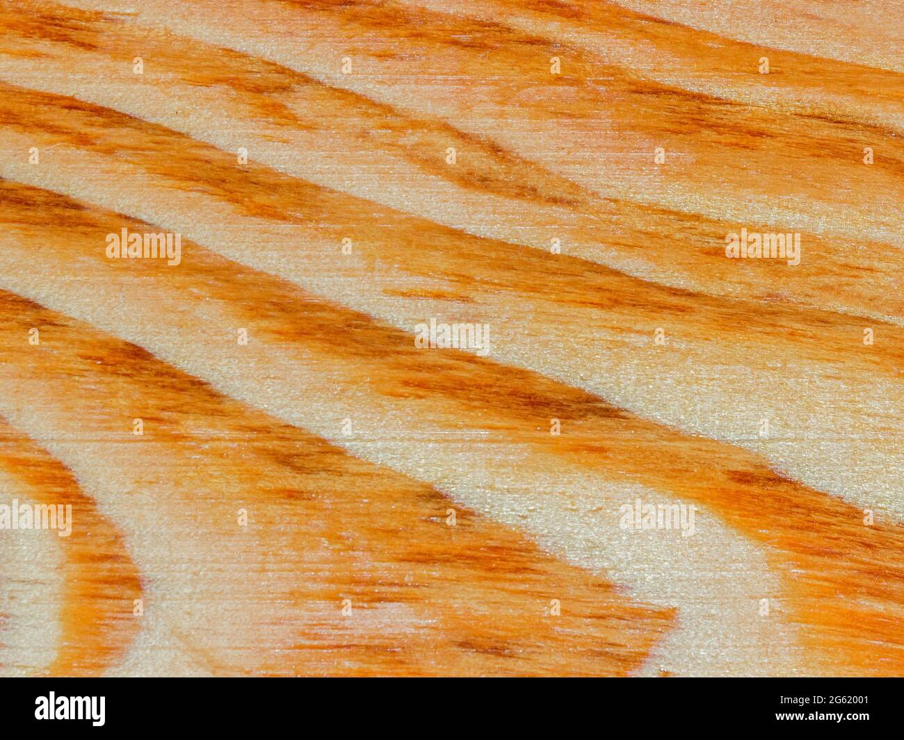 Photo texture of pine wood layers close-up view Stock Photo - Alamy