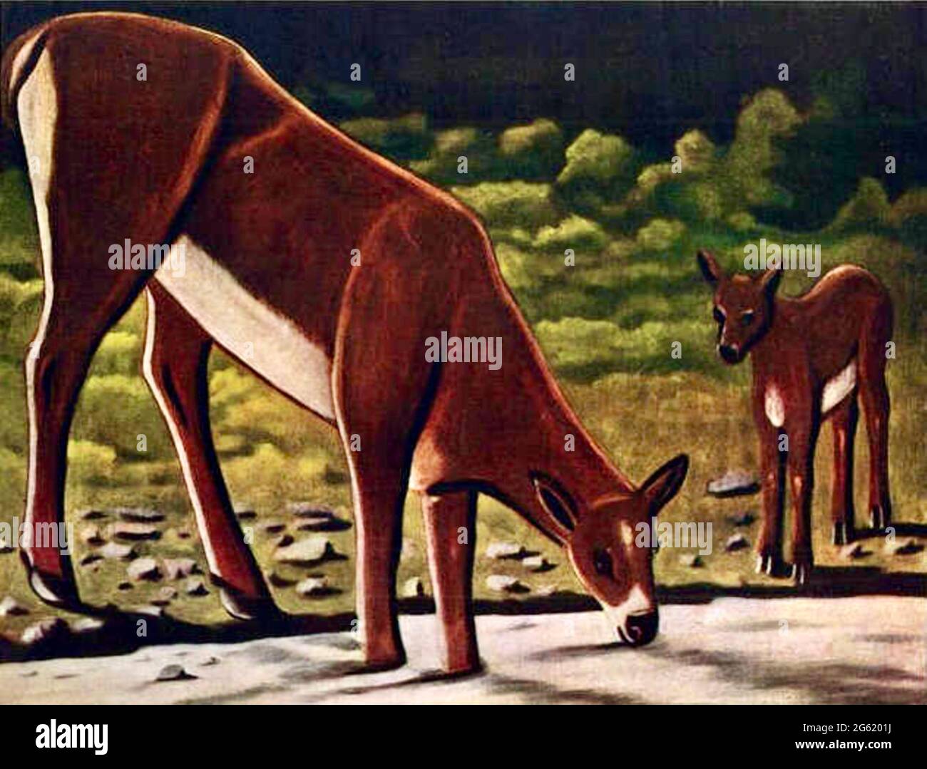 Portrayait hi-res stock photography and images - Alamy