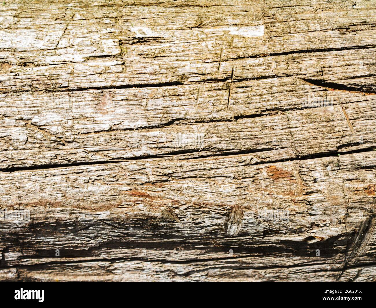 Texture photo of worn wooden log with cracks Stock Photo - Alamy