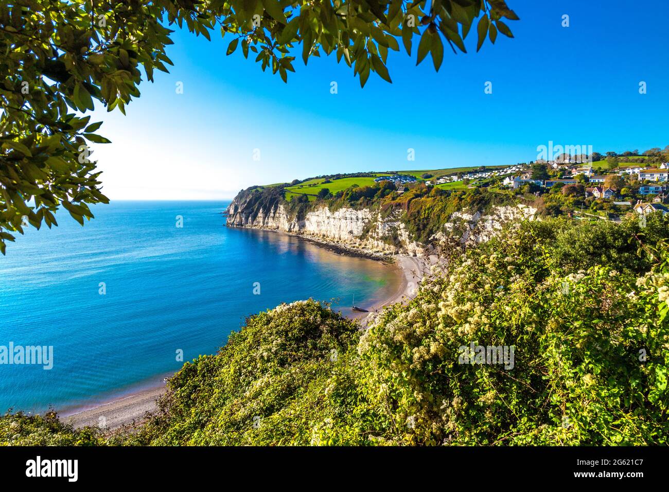 Coastline and Beer Beach at the seaside town of Beer, Devon, UK Stock ...
