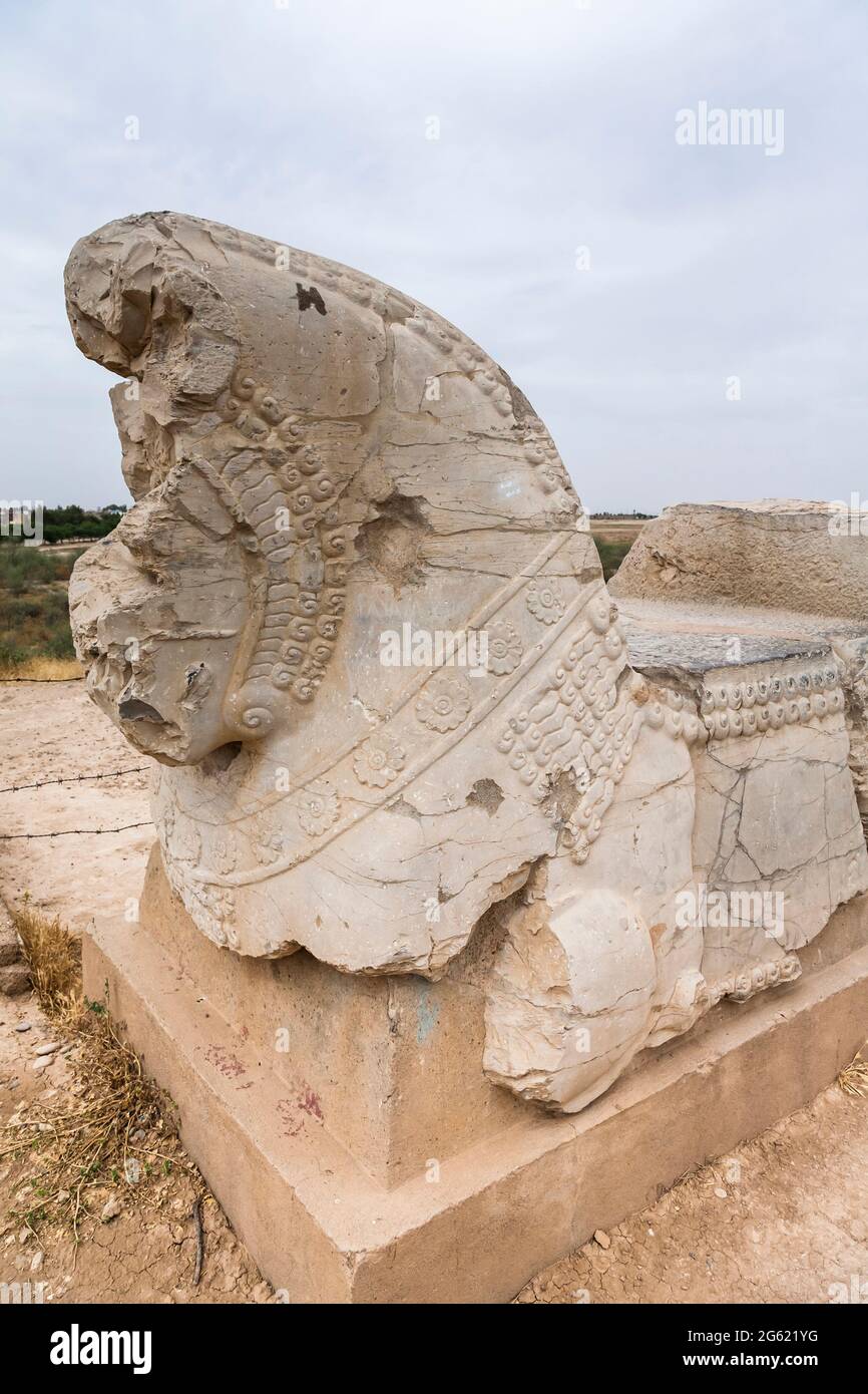 Double headed Bull capital, ruins, archaeological site of Susa(Shush ...
