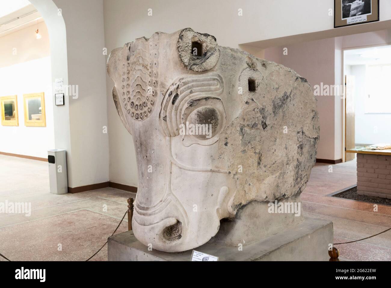 Stone Bull head capital, Susa museum, archaeological site of Susa(Shush ...
