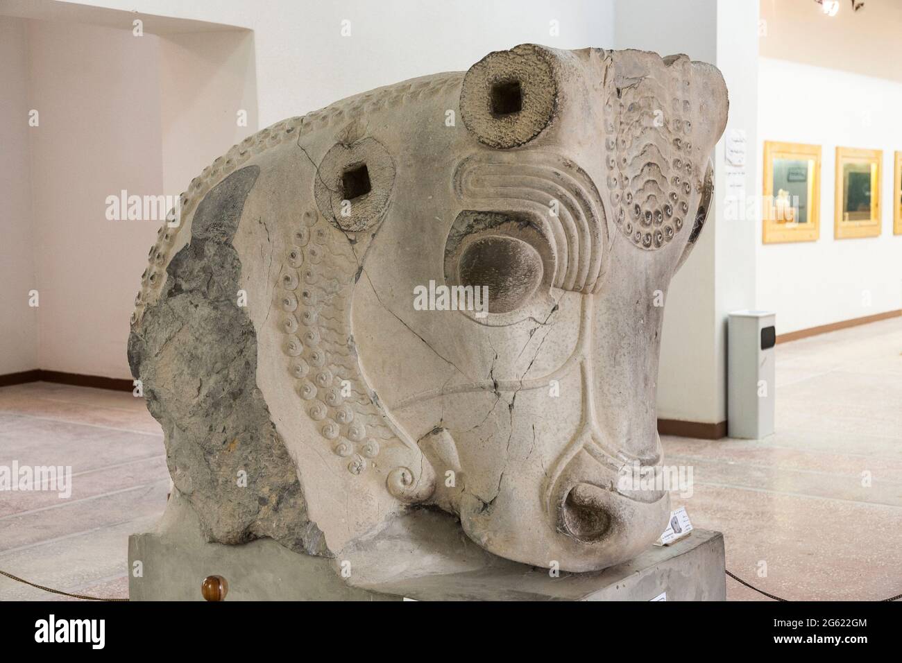 Stone Bull head capital, Susa museum, archaeological site of Susa(Shush ...