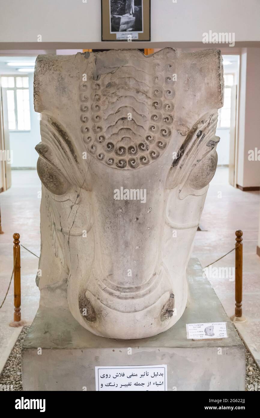 Stone Bull head capital, Susa museum, archaeological site of Susa(Shush ...