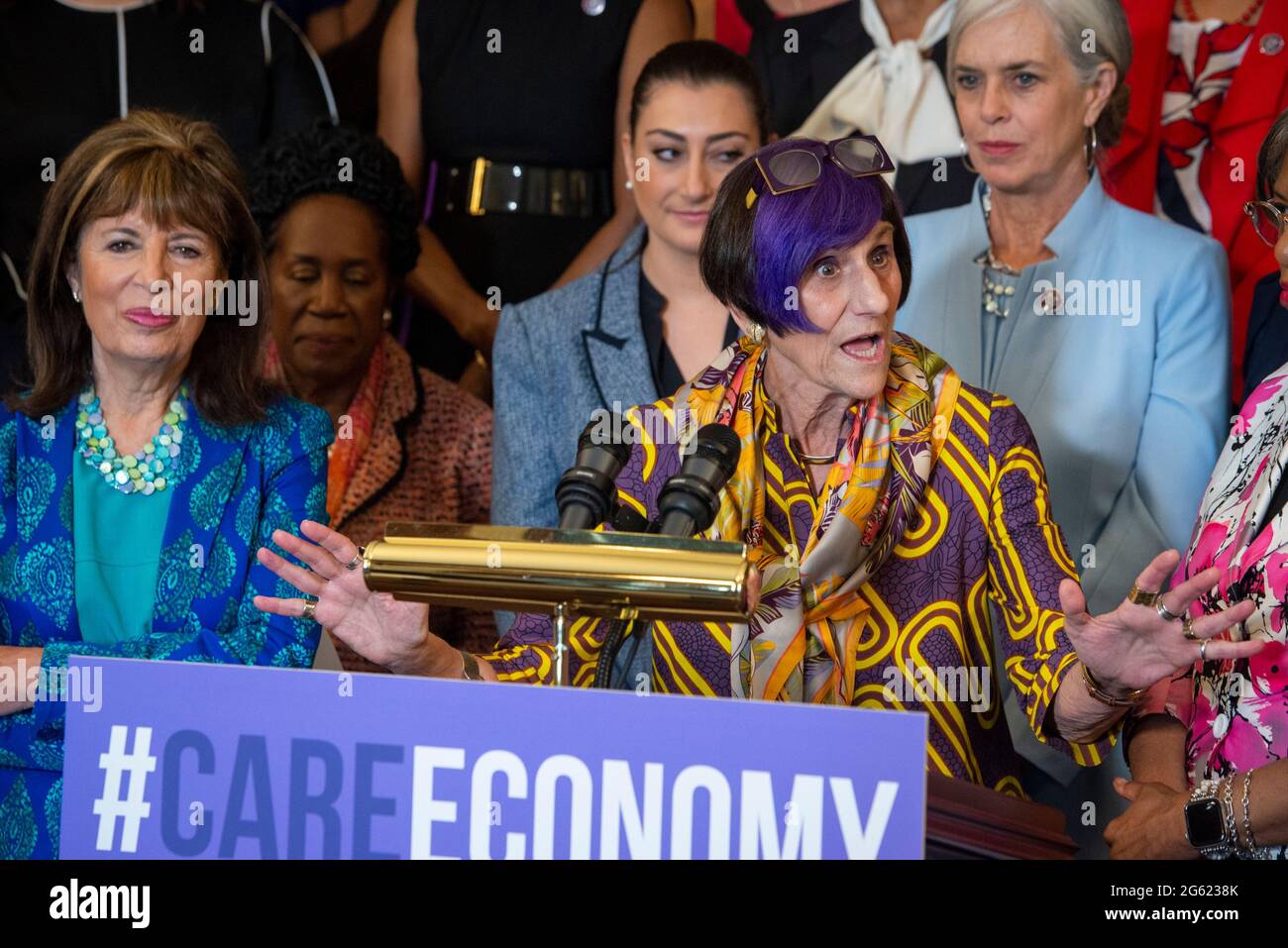 United States Representative Rosa DeLauro (Democrat of Connecticut ...