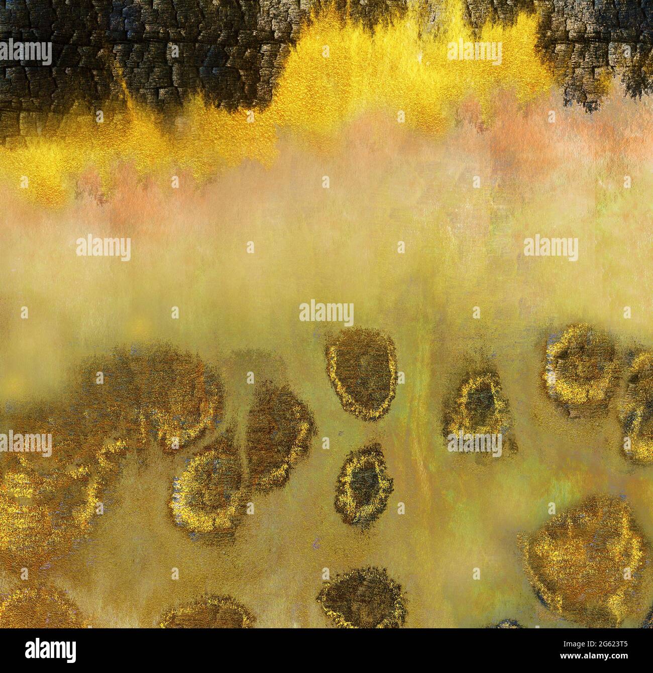 Graphic design elements . Wall paper, textile design, pattern, texture ...