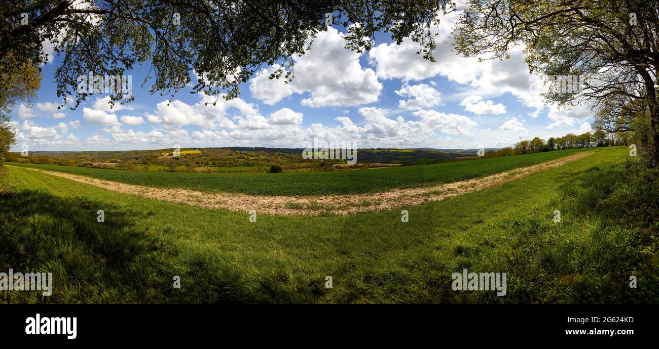 Wellbeing', simple open landscape with trees path and sunshine ...