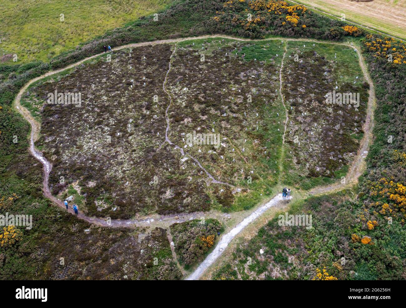 Aerial view of the Hill 'O Many Stanes archaeological site situated on ...