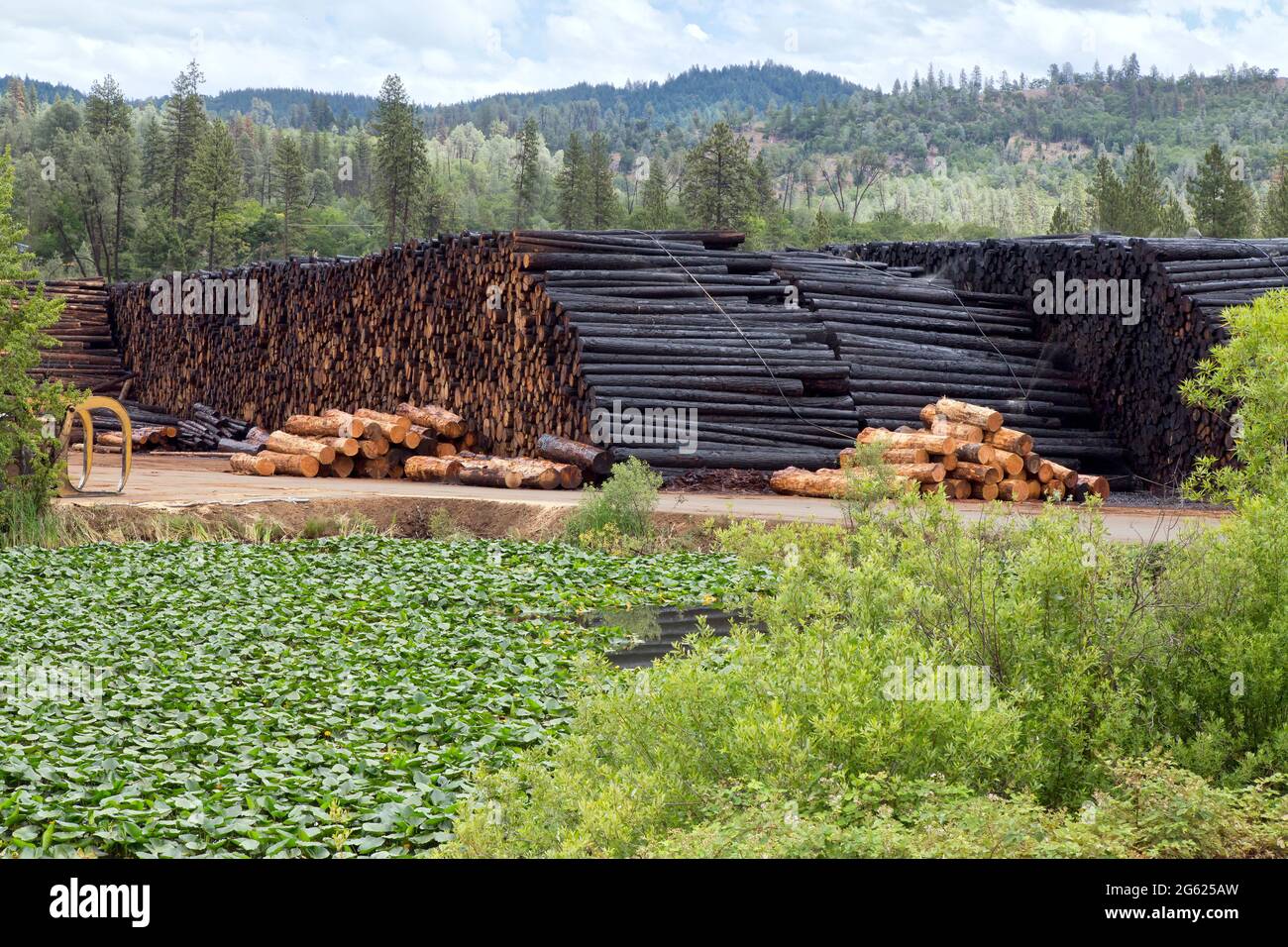 Logging pond hi-res stock photography and images - Alamy