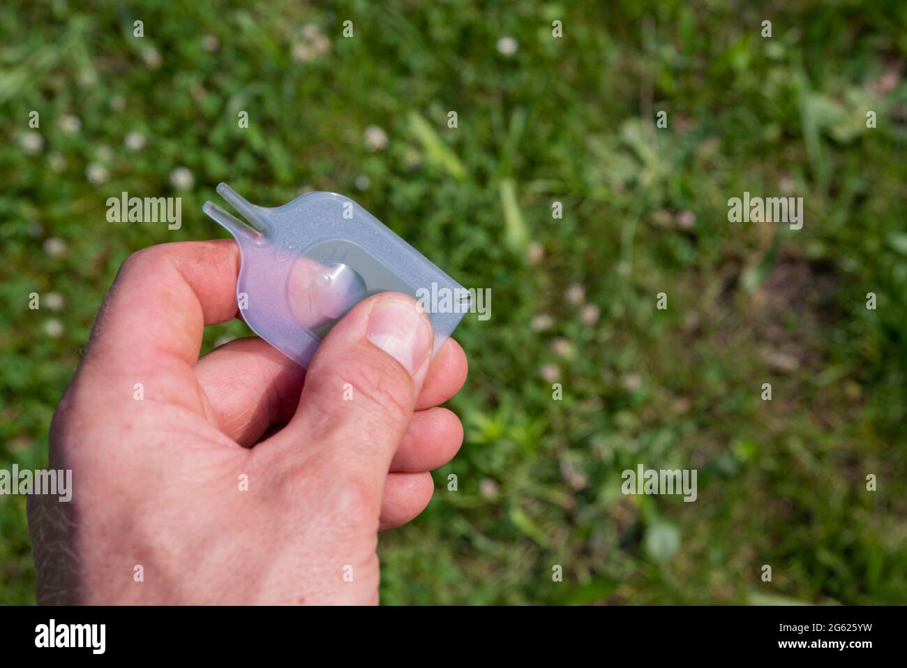 Male hand with tick card for removing ticks in front of green meadow ...