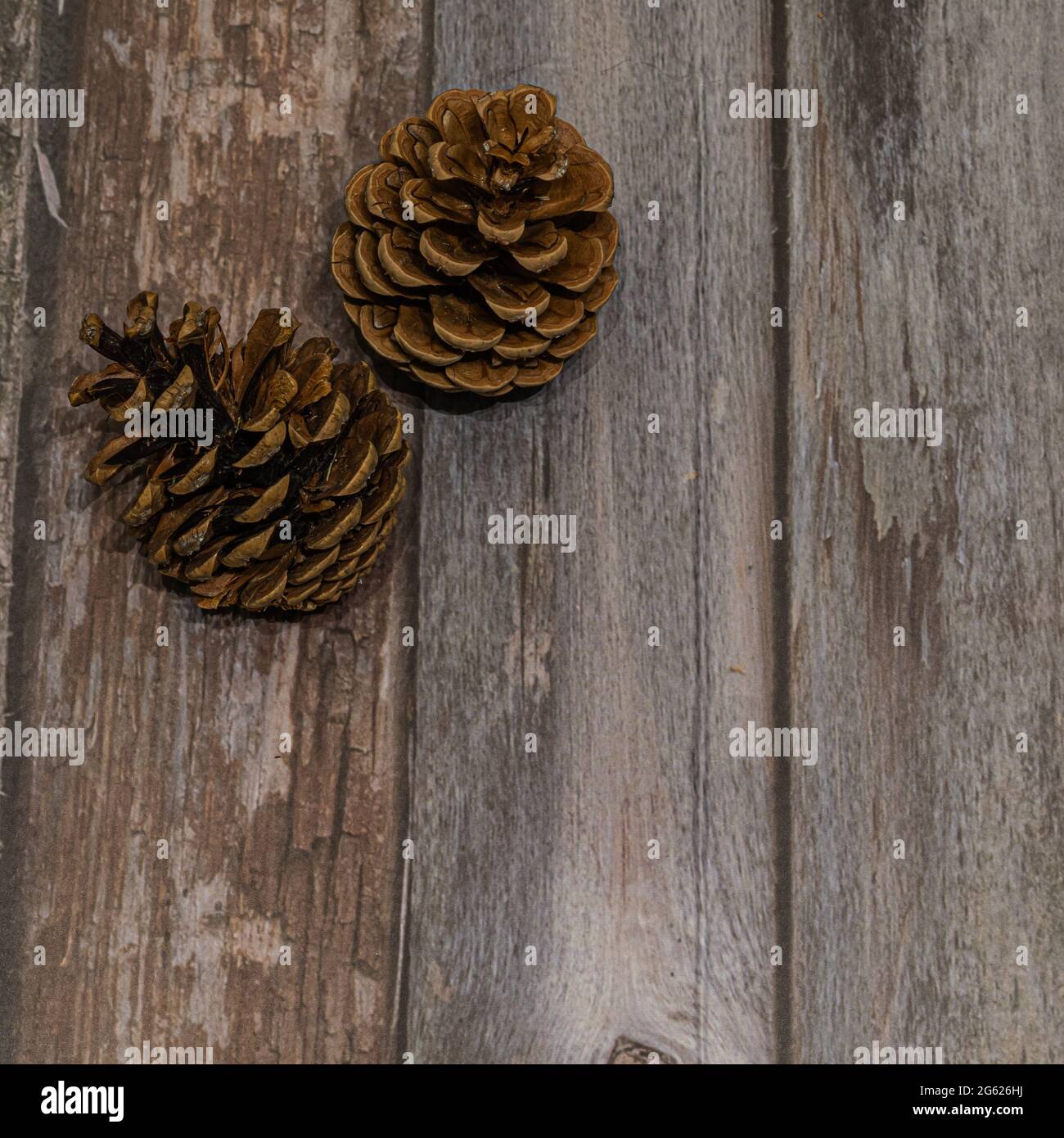 Cone texture hi-res stock photography and images - Alamy