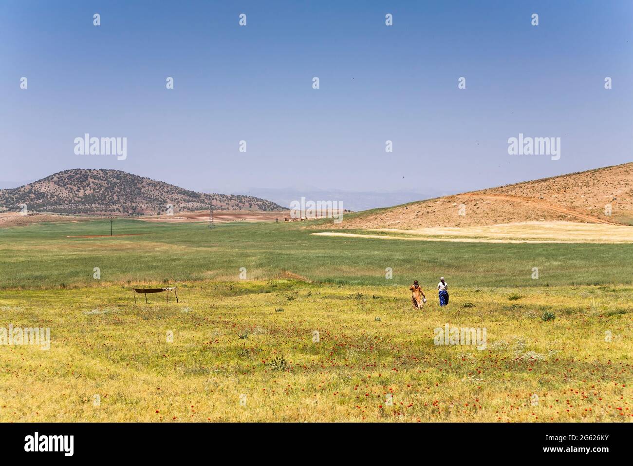 Landscape of field at highland of Zagros mountains, suburb of Shiraz ...