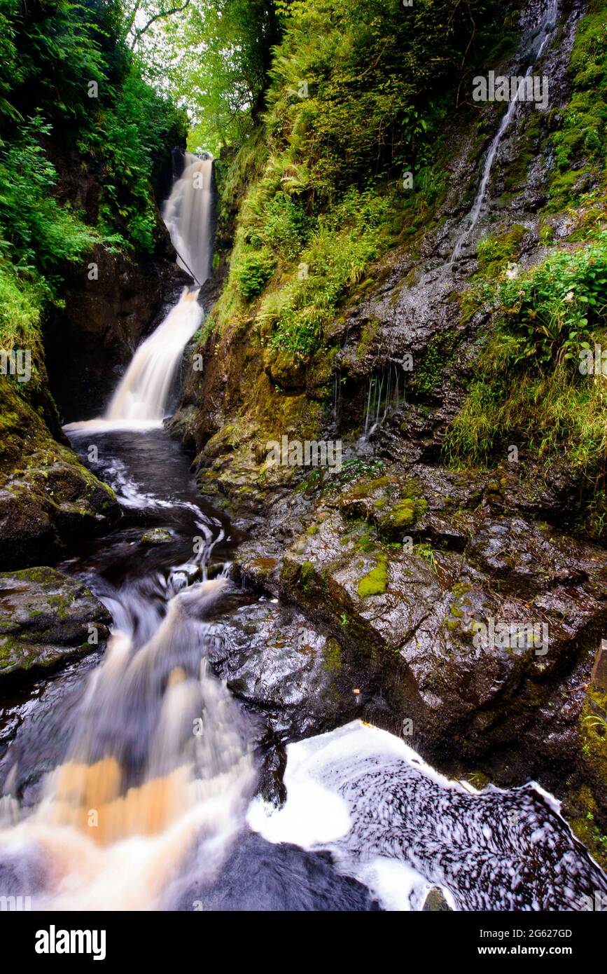 Ess na larach hi-res stock photography and images - Alamy