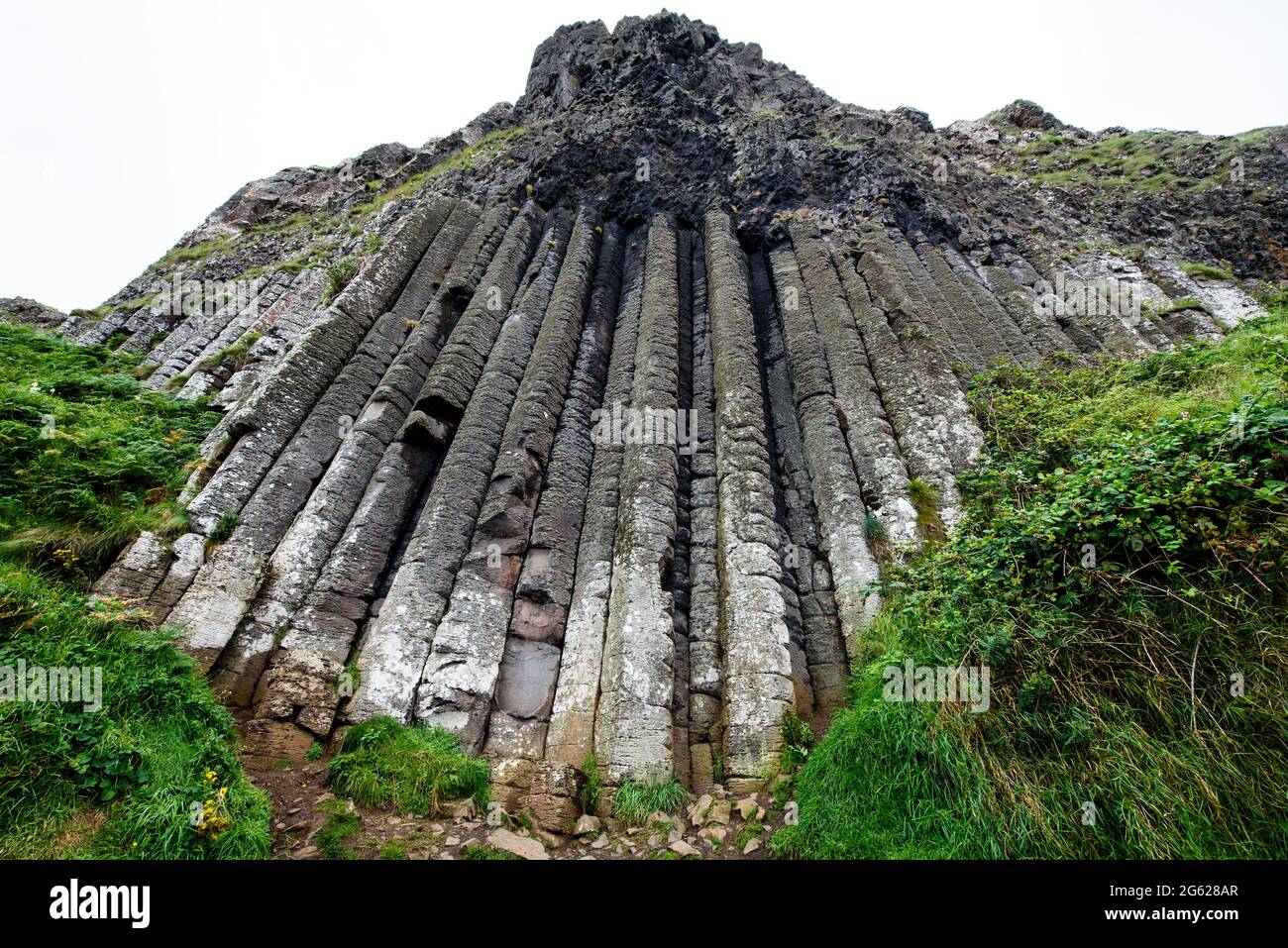 Basaltic organ pillar at the giant causeway Stock Photo - Alamy