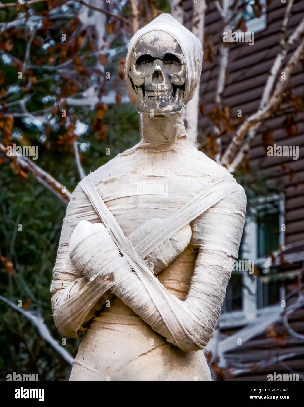 Gothic costume hi-res stock photography and images - Alamy