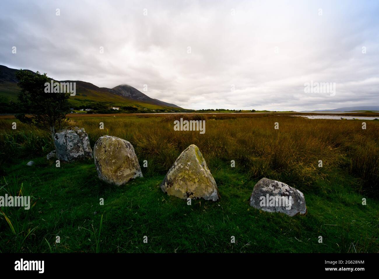 Small menhirs alignment near Croagh Patrick mountain Stock Photo - Alamy