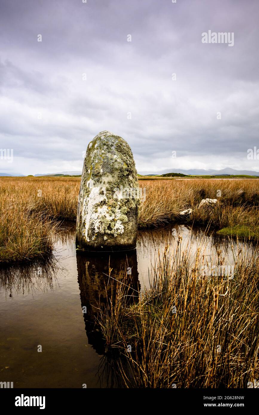 Marsh way hi-res stock photography and images - Alamy