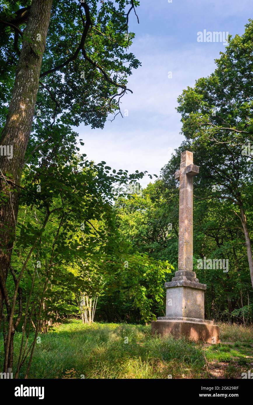 A grade two listed monument,a stone cross erected in 1825 in a clearing ...