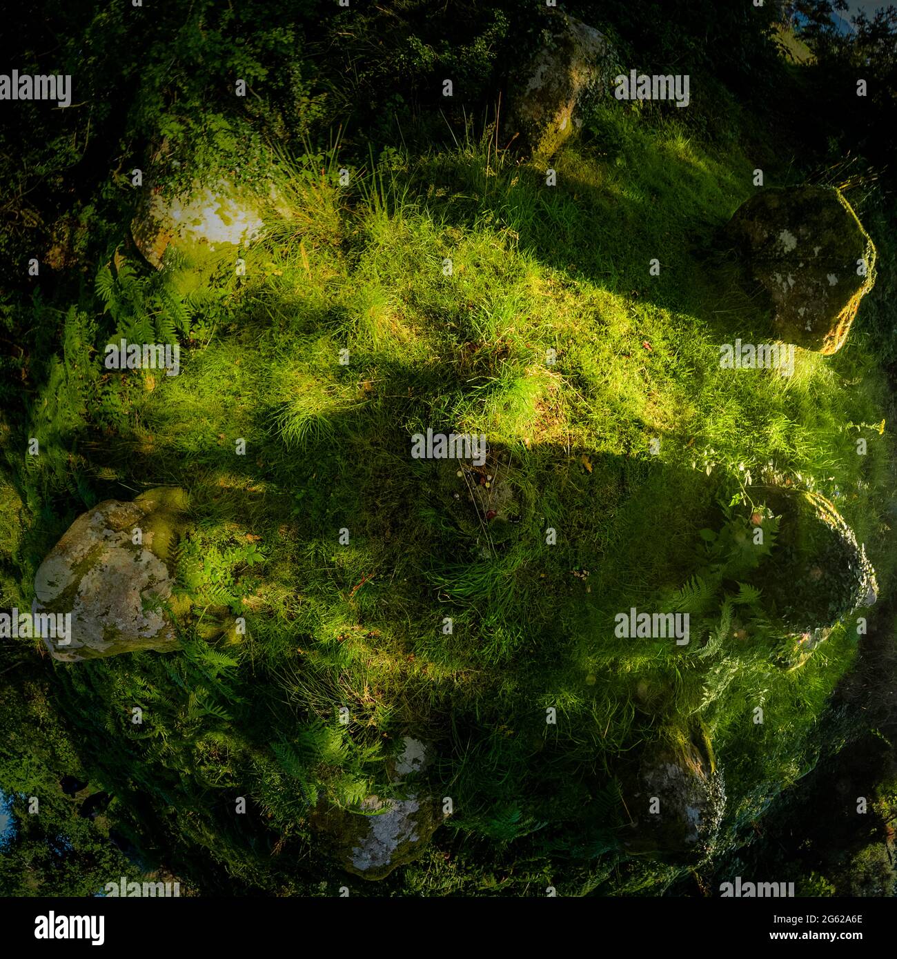 Circle of sisters hi-res stock photography and images - Alamy