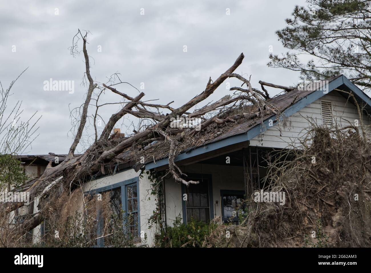 Dilapidated damaged abandoned house and tree fell on roof Stock Photo ...