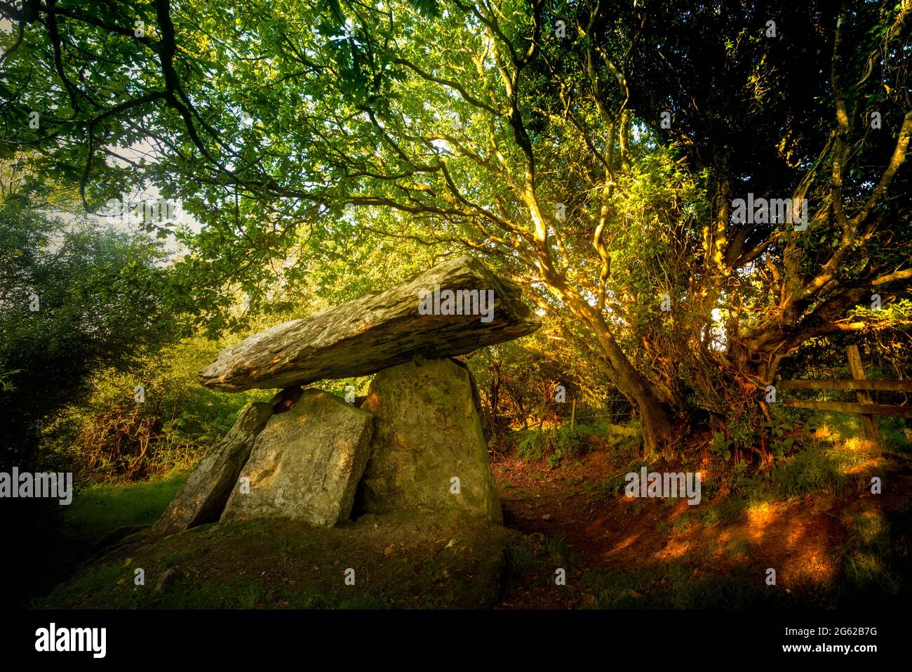 Gaulstone dolmen lays under the trees Stock Photo - Alamy
