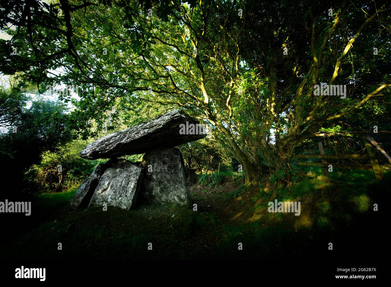 Gaulstone dolmen lost under the trees Stock Photo - Alamy