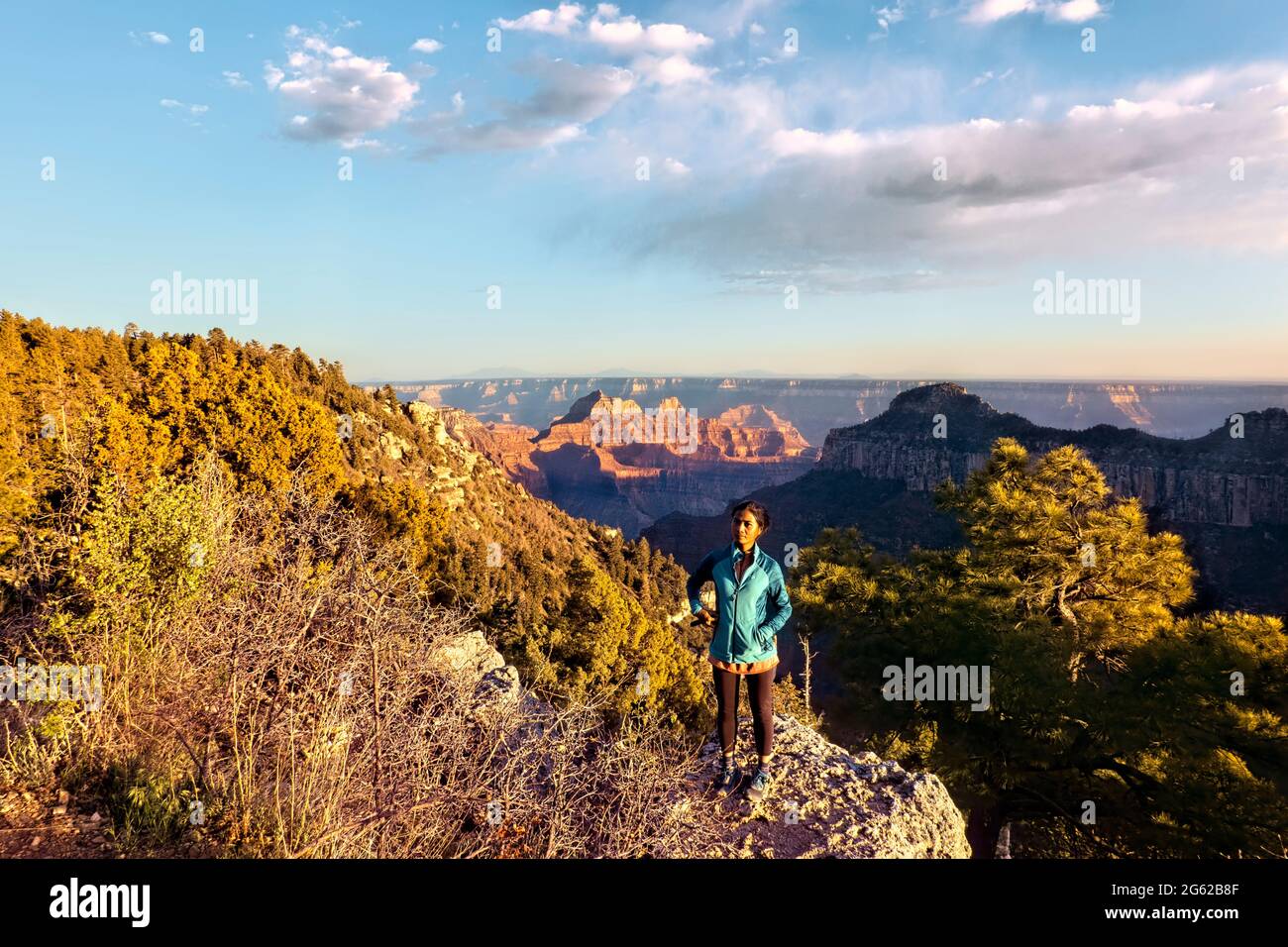 The view from the North Rim, Grand Canyon National Park, Arizona, U.S.A ...