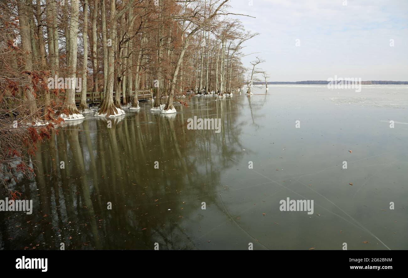 Reelfoot lake state park hi-res stock photography and images - Alamy