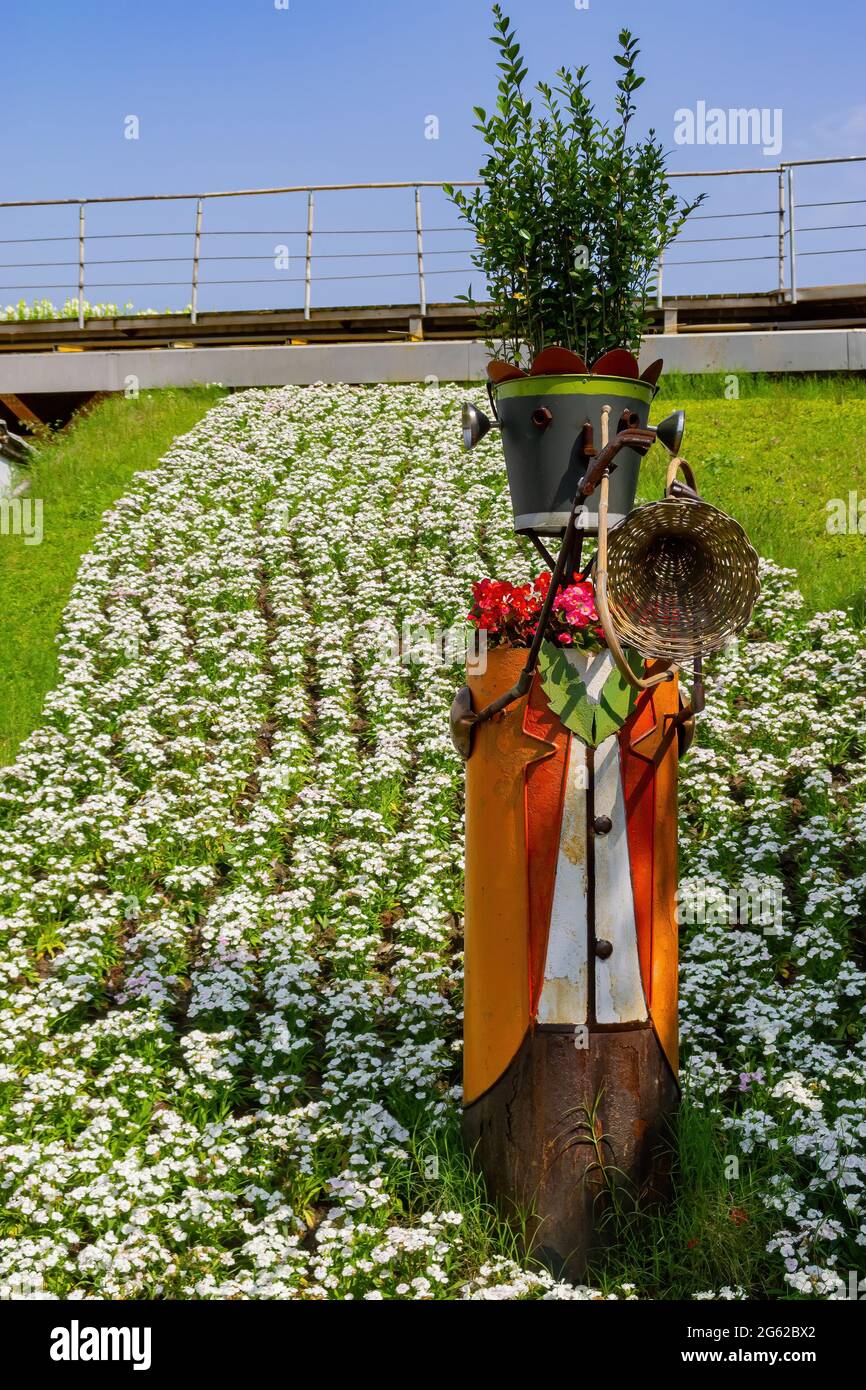 Flora of taiwan hi-res stock photography and images - Alamy