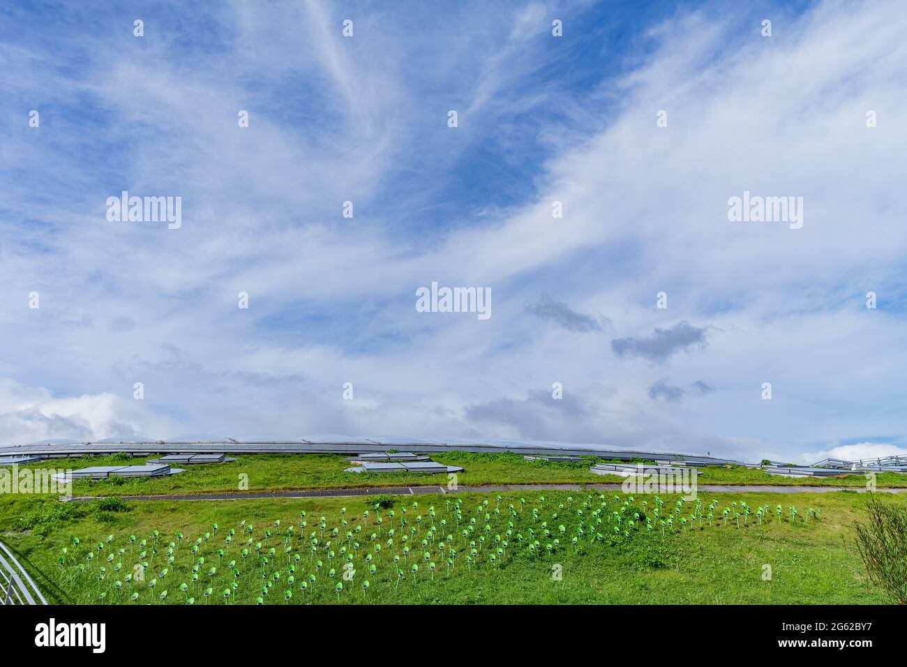 Flora of taiwan hi-res stock photography and images - Alamy